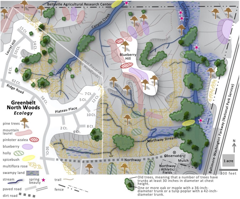 Best Walking Routes in Old Greenbelt - Greenbelt Online