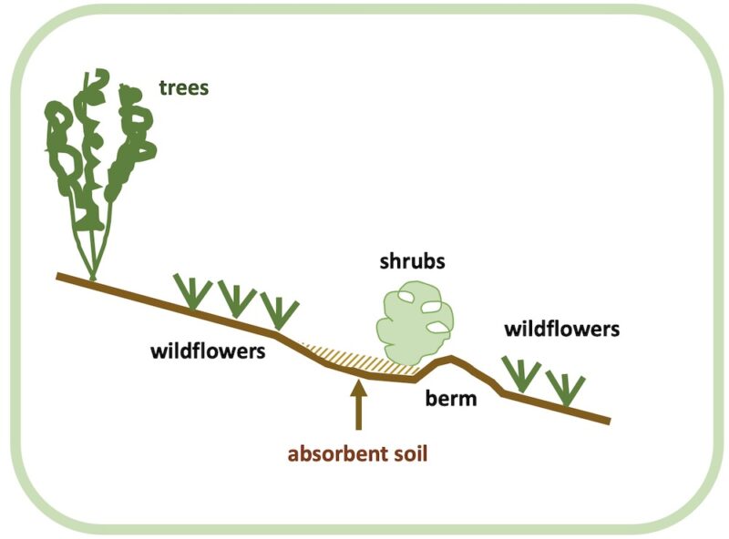 Greenbelt Community Conservation Landscape and Demonstration Project ...