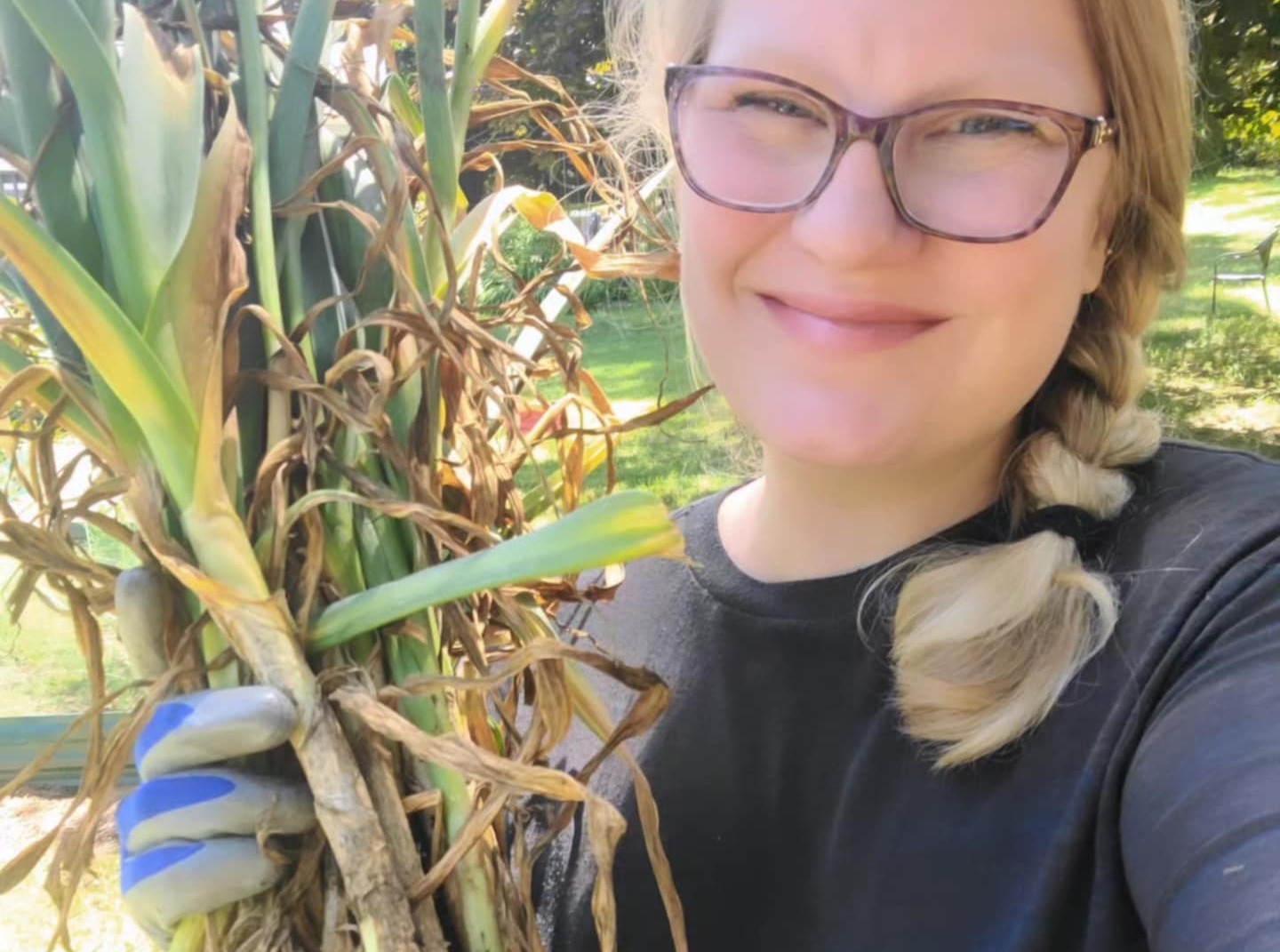 Lillian Farms, the New Greenbelt-Adjacent Plant Store - Greenbelt Online